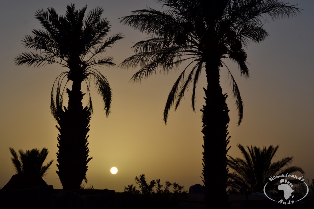 Khamlia: al ritmo de los tambores gnawas, durante 365 días